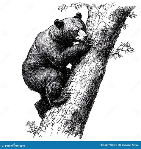 Black Bear Climbing Tree Ink Drawing Stock Illustration Illustration Of Trunk Branch