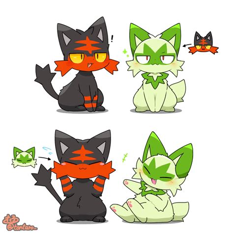 332324 Safe Artisttontaro Fictional Species Litten Sprigatito