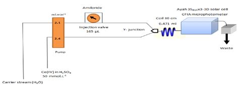 Schematic Diagram Of Continuous Flow Injection Analysis System With Download Scientific Diagram