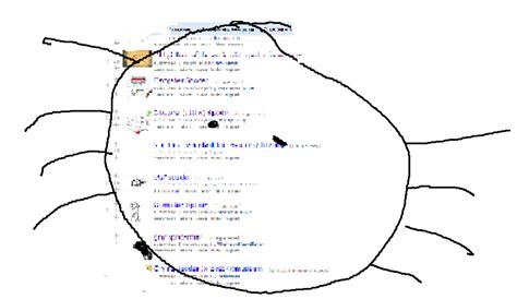 Spoder Spoder R Spoders