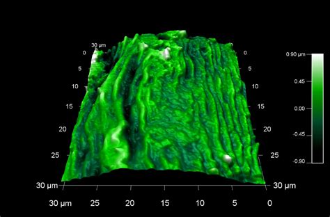Afm Scan Image Gallery Nanoandmore