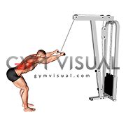 Cable Straight Arm Pulldown Version 2