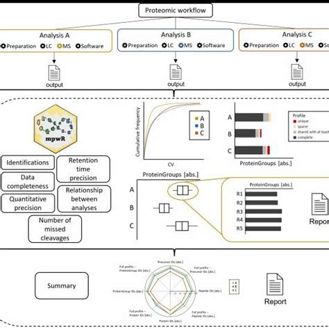 Functionalities Of Mpwr An Unlimited Number Of Analyses Can Be