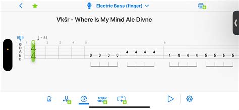 Beginner 5 String Bass Player Rbassguitar