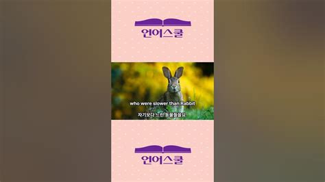 토끼와 거북이 경주 이솝우화 Youtube