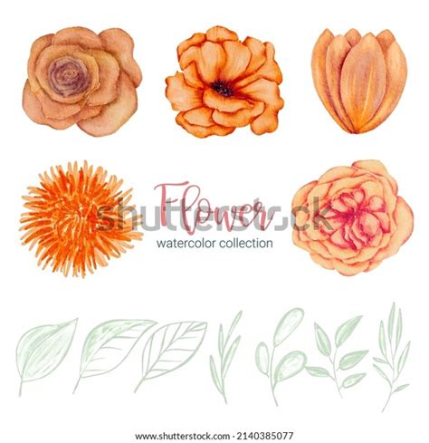 Set Separate Parts Bring Together Beautiful Stock Vector Royalty Free 2140385077 Shutterstock