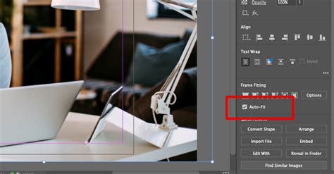 How To Resize Images In Adobe InDesign