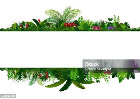 열 대 잎 배경입니다 텍스트에 대 한 공간을 가진 직사각형 식물 프레임입니다 수평 배너와 함께 열 대 경 엽 0명에 대한 스톡 벡터 아트 및 기타 이미지 Istock