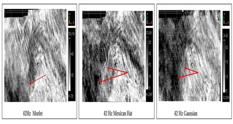 Comparison Between The Three Mother Wavelets At 42 Hz Frequency The Download Scientific