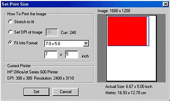 Printing Set Print Size Options