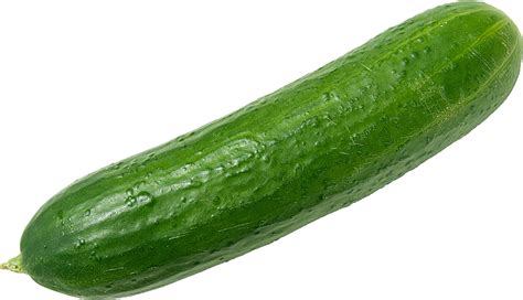 Pepino Png