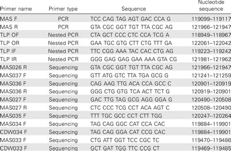 Sequences Of Primers Used To Amplify And Sequence MicroRNA Regions Download Table