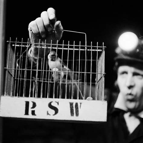 Tag Security Exploits Ars Technica