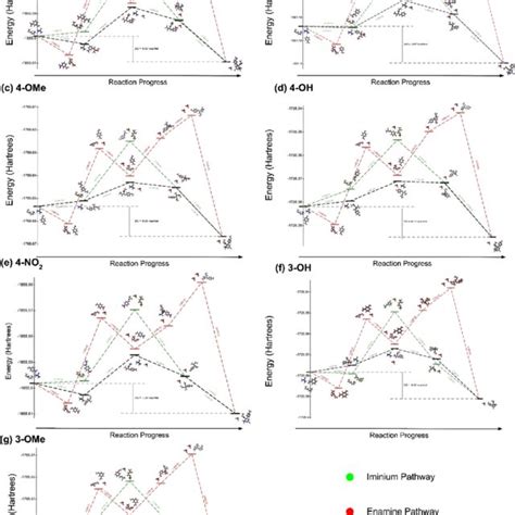 Density Functional Theory Dft Calculations Of The Thermodynamic Profiles Download Scientific