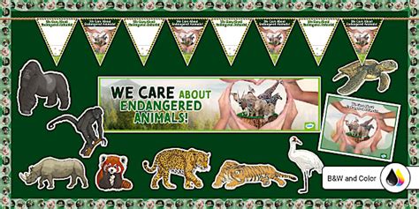 Endangered Animals Bulletin Board Pack Teacher Made
