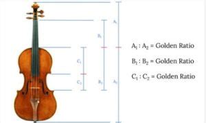 What Is The Fibonacci Sequence Key Ideas JDM Educational