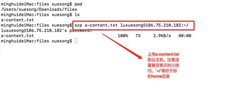 Linux基本命令 Hexo