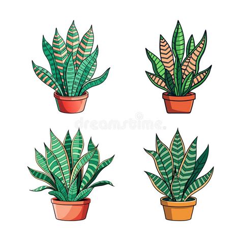 Unique Rattlesnake Houseplant Art Design Stock Vector Illustration Of