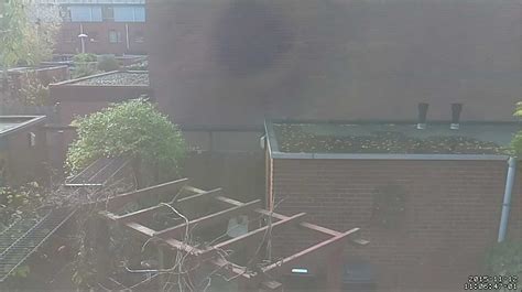 Raspberry Pi Security Camera First Experience Homehack