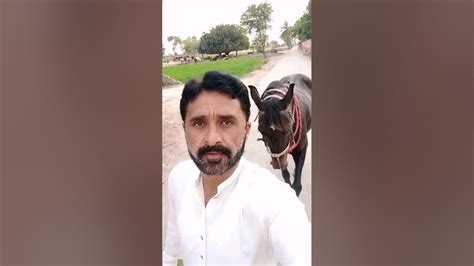 Pari Gori Ki Training Youtube