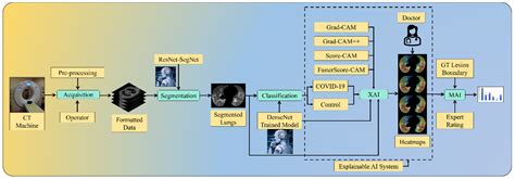 Diagnostics Free Full Text Covlias 20 Cxai Cloud Based Explainable Deep Learning System