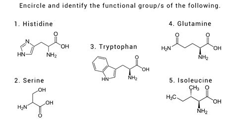 Solved Encircle And Identify The Functional Group S Of The