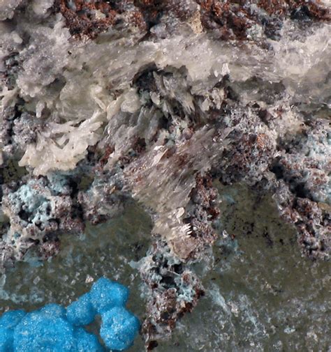 9 удивительных научных открытий 2022 года о которых вы могли не знать Вокруг Света