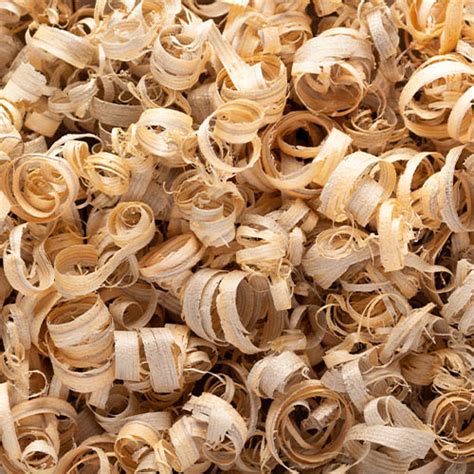 Amphibians Substrate For Fire Bellied Toads