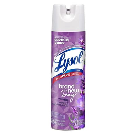 Lysol Professional Disinfectant Spray Original Scent 19 Oz Aerosol