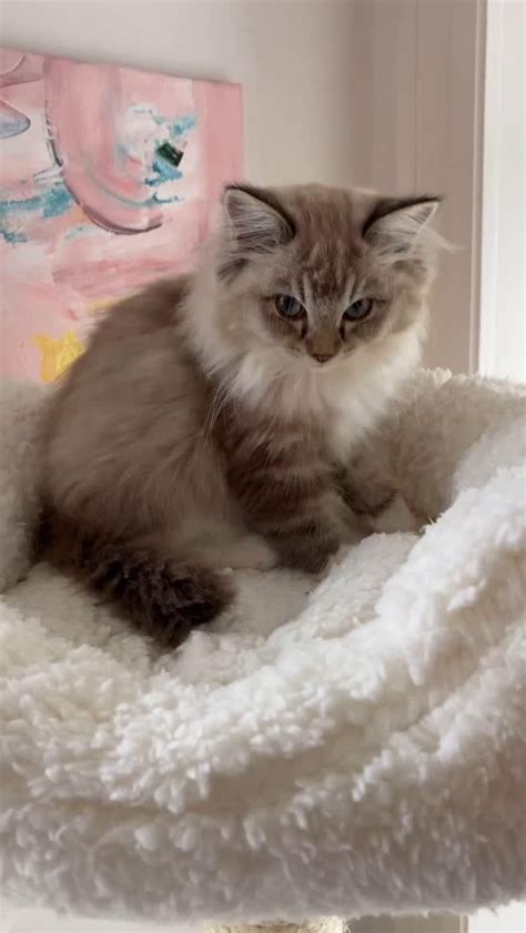 Pin Auf Cute