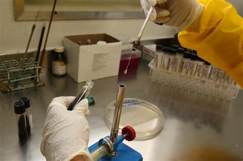 Premium Photo Cropped Hand Performing Scientific Experiment