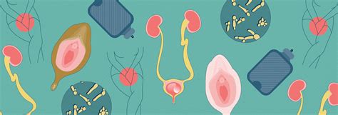 Uti And Sex Should I Get My Partner Tested