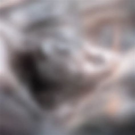 Comprehensive Guide To Hyperkalemia Treatment