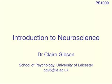 Ppt Neuroscience Fundamentals Developmental Stages And Neural Plasticity Powerpoint