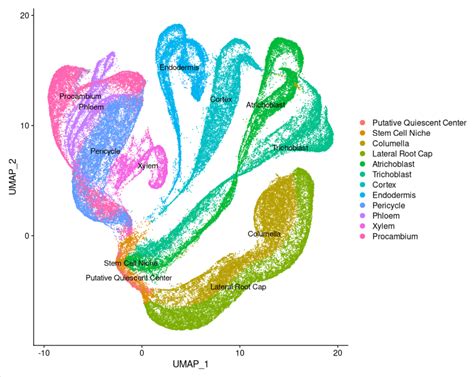Expression Per FeaturePlot Doesn T Match Expression Matrix Issue Satijalab Seurat GitHub