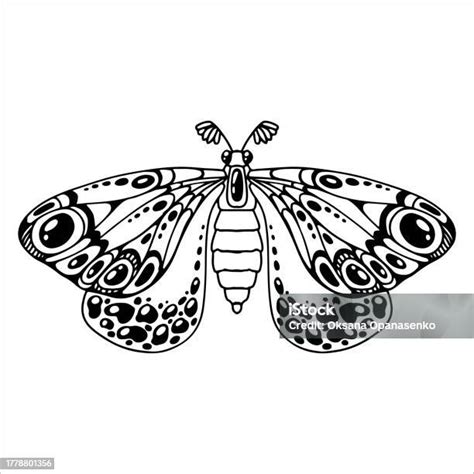 아름 다운 나비입니다 검은 색으로 손으로 그린 장식 양식화 된 곤충 날개 딱정벌레 흰색 배경에 벡터 그림입니다 0명에 대한 스톡 벡터 아트 및 기타 이미지 Istock
