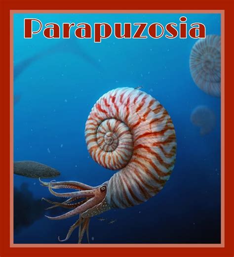 Parapuzosia Magazine Featuring Sea Snail Image