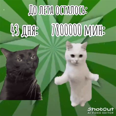 ХХАЗВХАХАЗВХА😂🤣 лето мем ттд Roblox Rblx роблокс пустьзалетит Robloxedit Ttd3