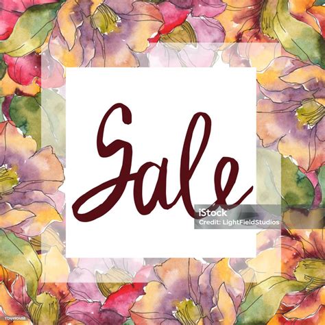 붉은 색과 오렌지색 Camelia입니다 꽃 식물 꽃입니다 수채화 배경 그림 설정 합니다 프레임 테두리 장식 스퀘어입니다 그리기에 대한 스톡 벡터 아트 및 기타 이미지