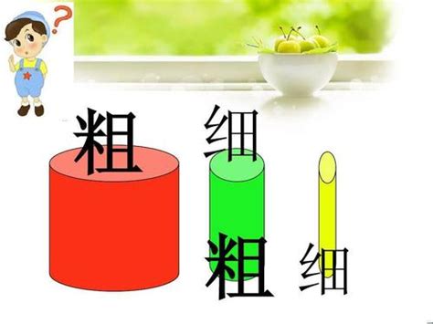 幼儿园中班数学教案按粗细排序含反思 知之
