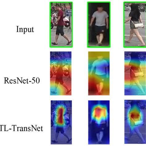 Visualization Of Feature Maps Based On Different Re Id Models Ie