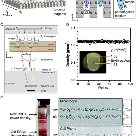 Maglev Based On Lensless Digital Inline Holographic Microscopy A Download Scientific Diagram