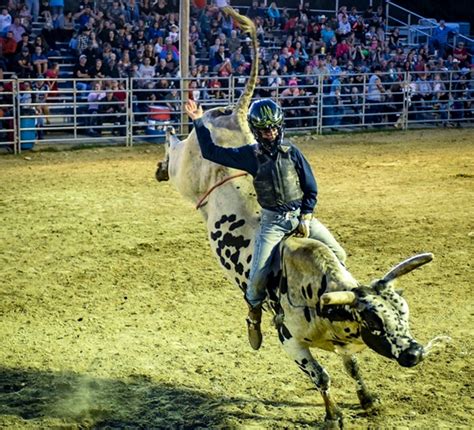 Bull Riding