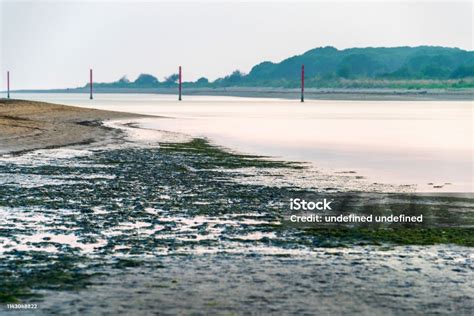 여름 황혼의 바다 풍경 비비 오 네의 라군 해변에서 이탈리아 0명에 대한 스톡 사진 및 기타 이미지 0명 9월 관목 Istock