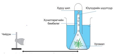 Химийн урвалын хурдад гэрэл нөлөөлөх үү Baamboozle Baamboozle The Most Fun Classroom Games