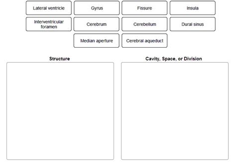 Solved Indicate Whether Each Term Represents A Structure Vs