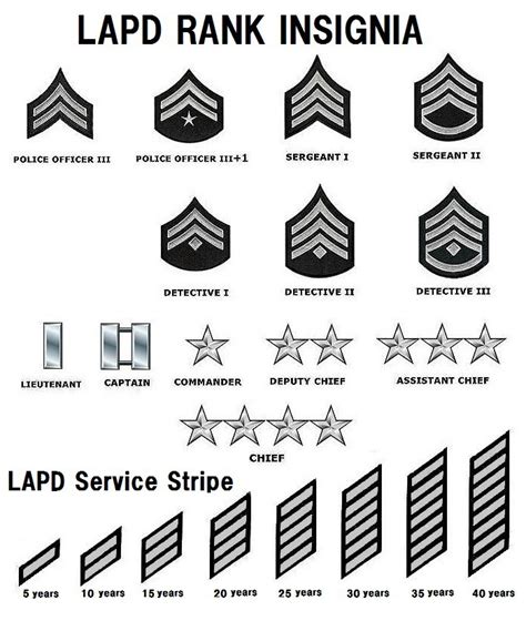 Lapd Police Officer Ranks Lapd Organizational Chart Fplz