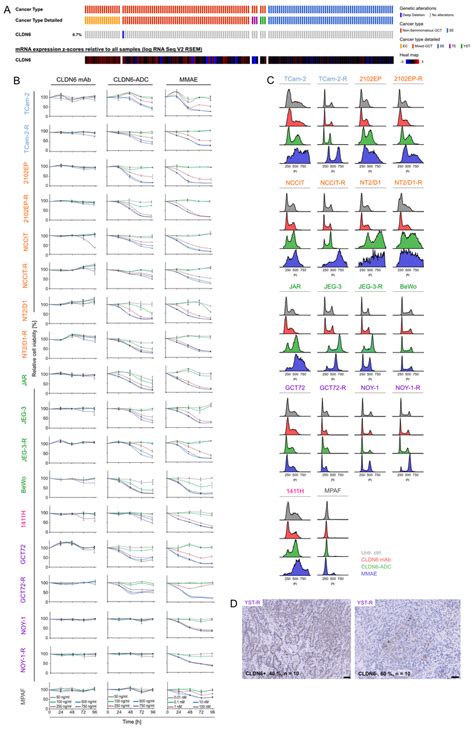 Fig S1 A Mutational Status And Mrna Expression Profile Of Cldn6 In Download Scientific