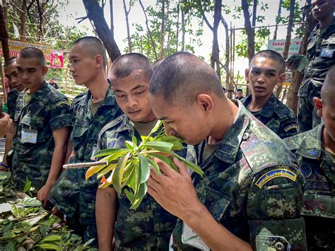 ก กองพันทหารปืนใหญ่ที่ 1 กรมทหารปืนใหญ่ที่ 1 รักษาพระองค์