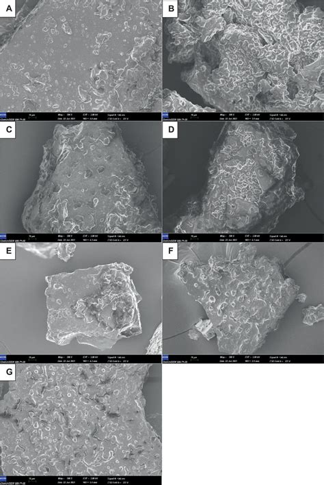 SEM Images Of Powders 500 A Capsule Without Surfactant B Download Scientific Diagram